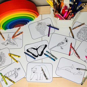 Colors & Numbers Toddler Card Set Coloring Sheets Digital Download - Etsy