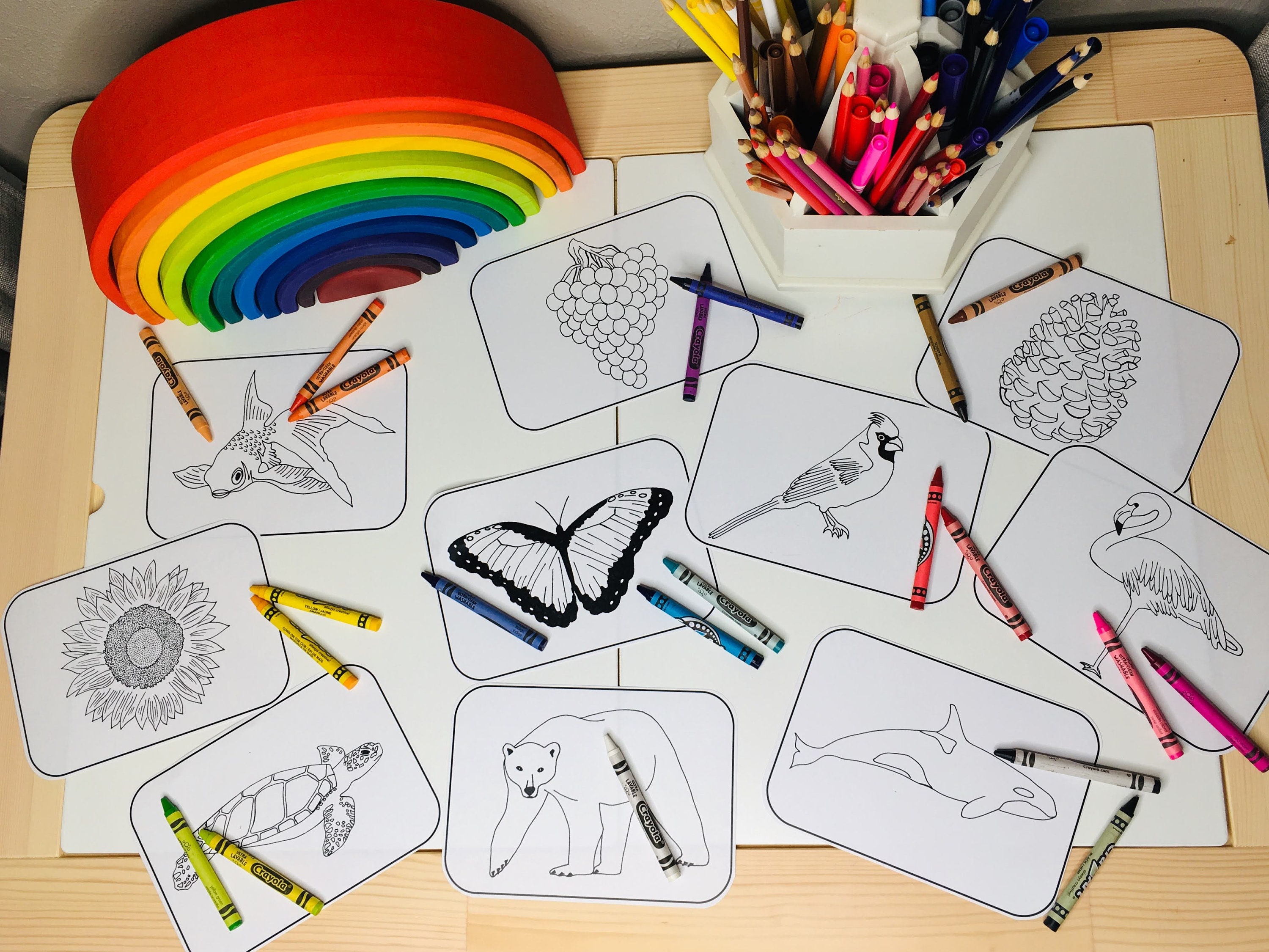 Colors & Numbers Toddler Card Set Coloring Sheets Digital | Etsy