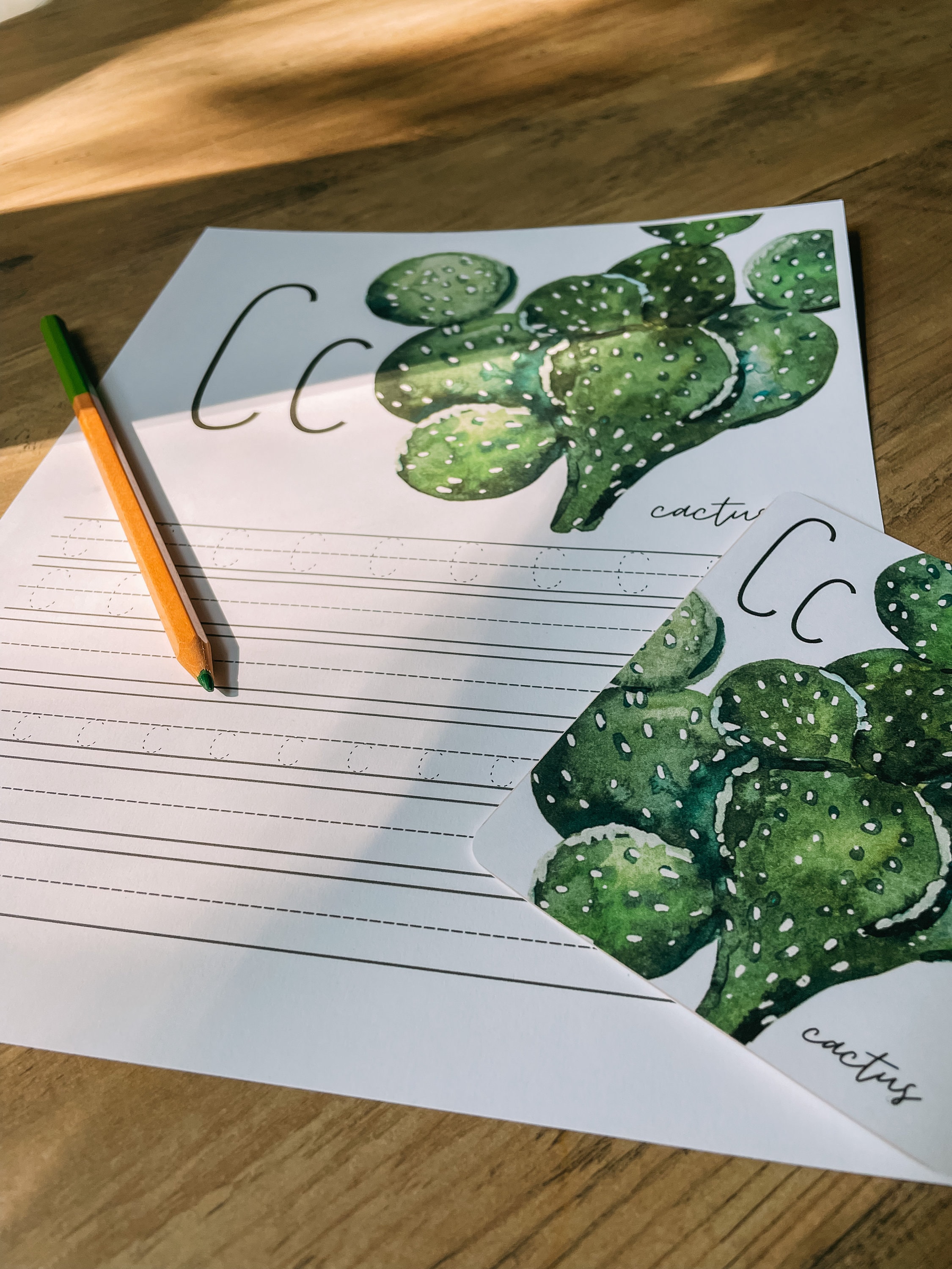 Nature Alphabet Cards & Handwriting Copy Pages Writing Practice ...