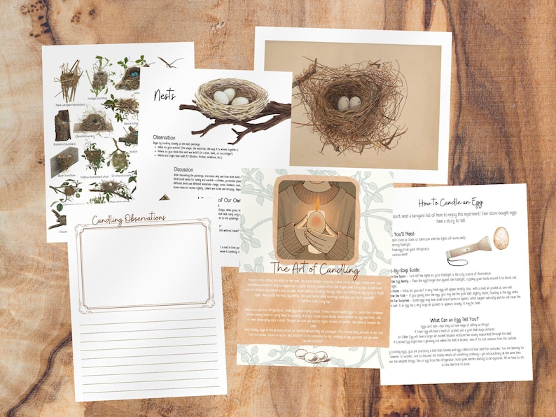 Spring Nature Study Unit | Charlotte Mason Morning Basket, Copywork ...