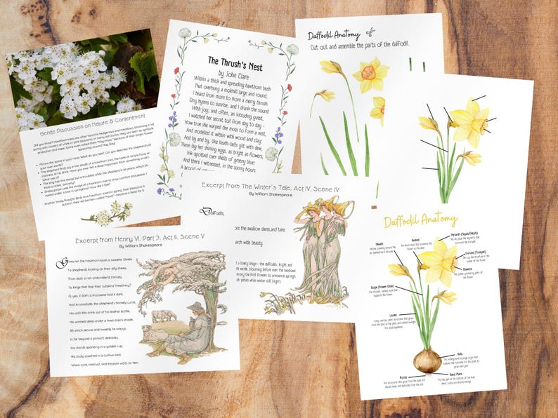 Spring Nature Study Unit | Charlotte Mason Morning Basket, Copywork ...