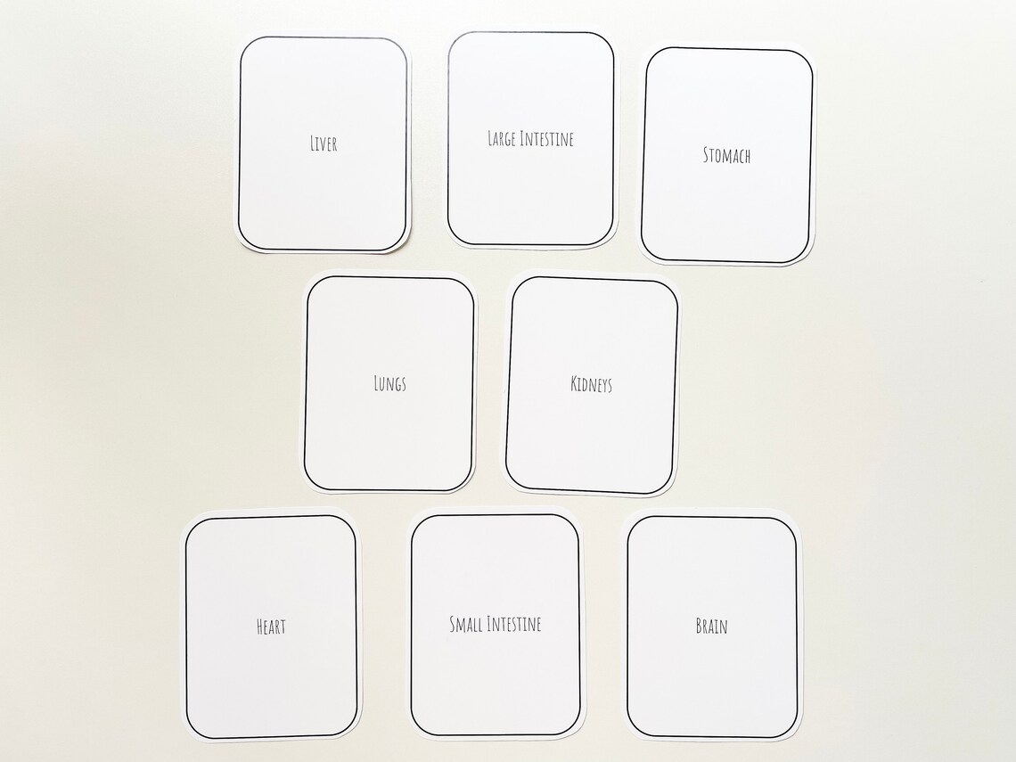 Human Organs Card Set Digital Download Anatomy Flash Cards for - Etsy
