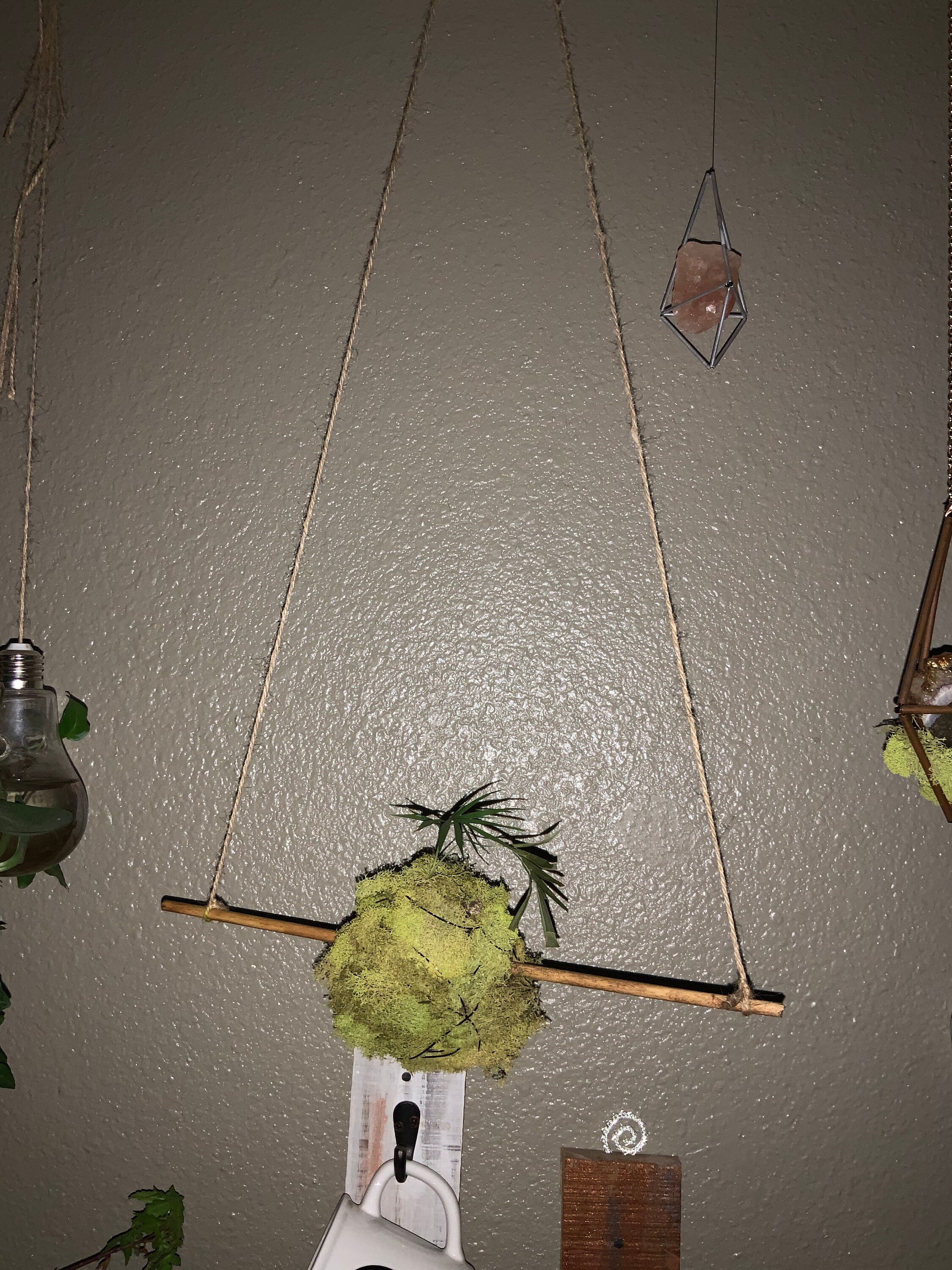 Hanging Moss Ball - Etsy