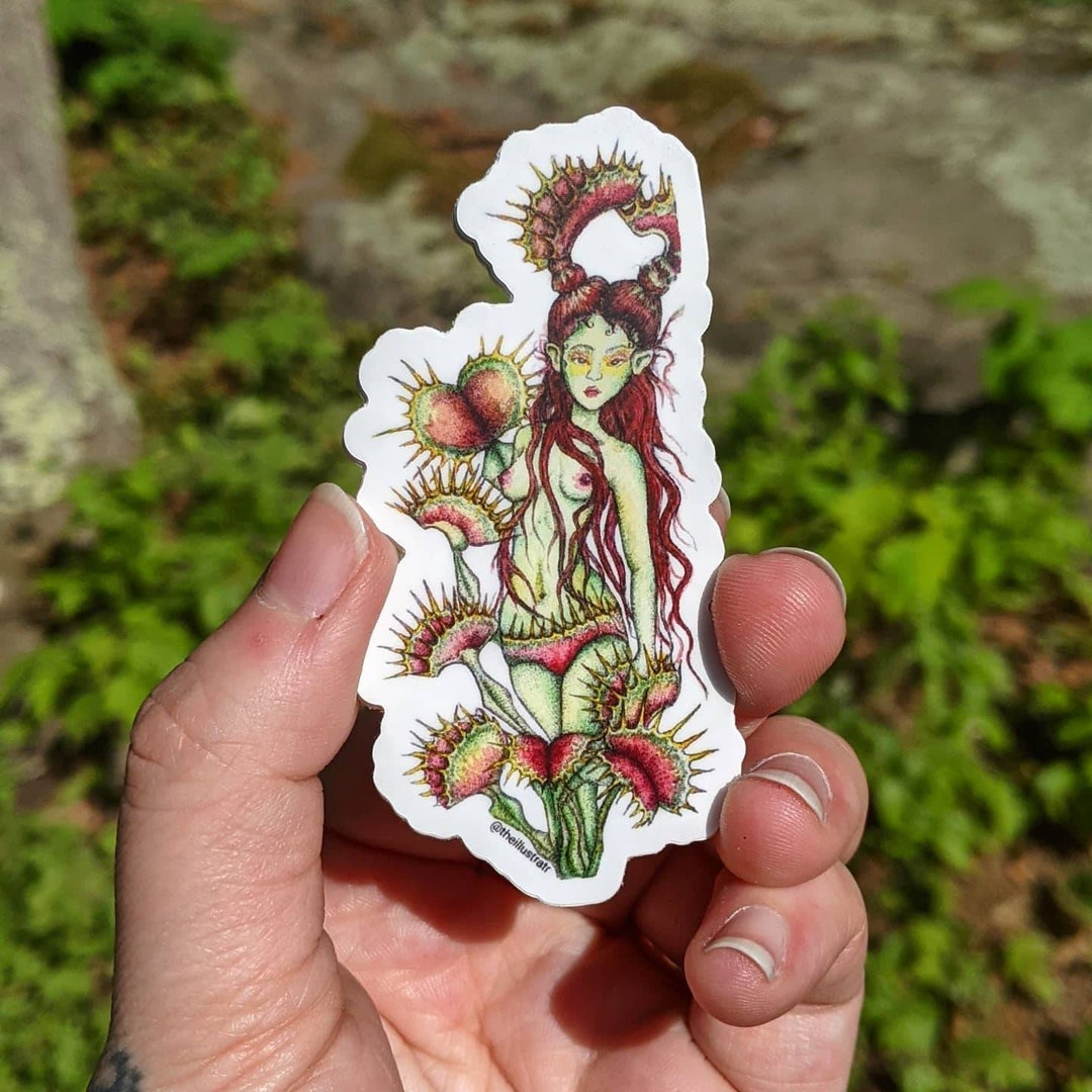 Venus Fly Trap (die Cut Sticker) - Etsy