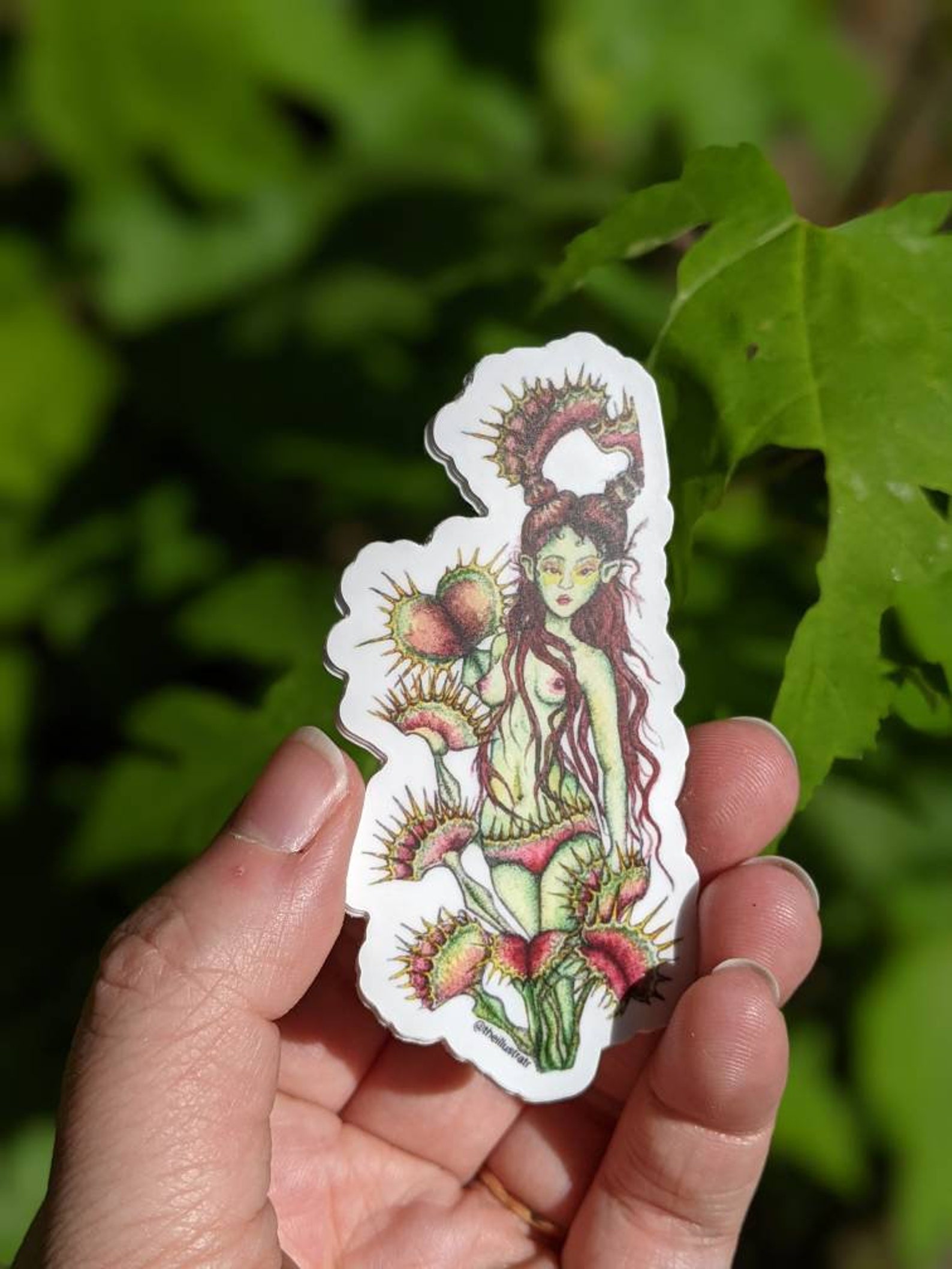 Venus Fly Trap (die Cut Sticker) - Etsy