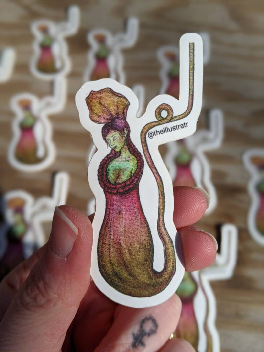 Penny Pitcher Plant (matte Sticker) - Etsy