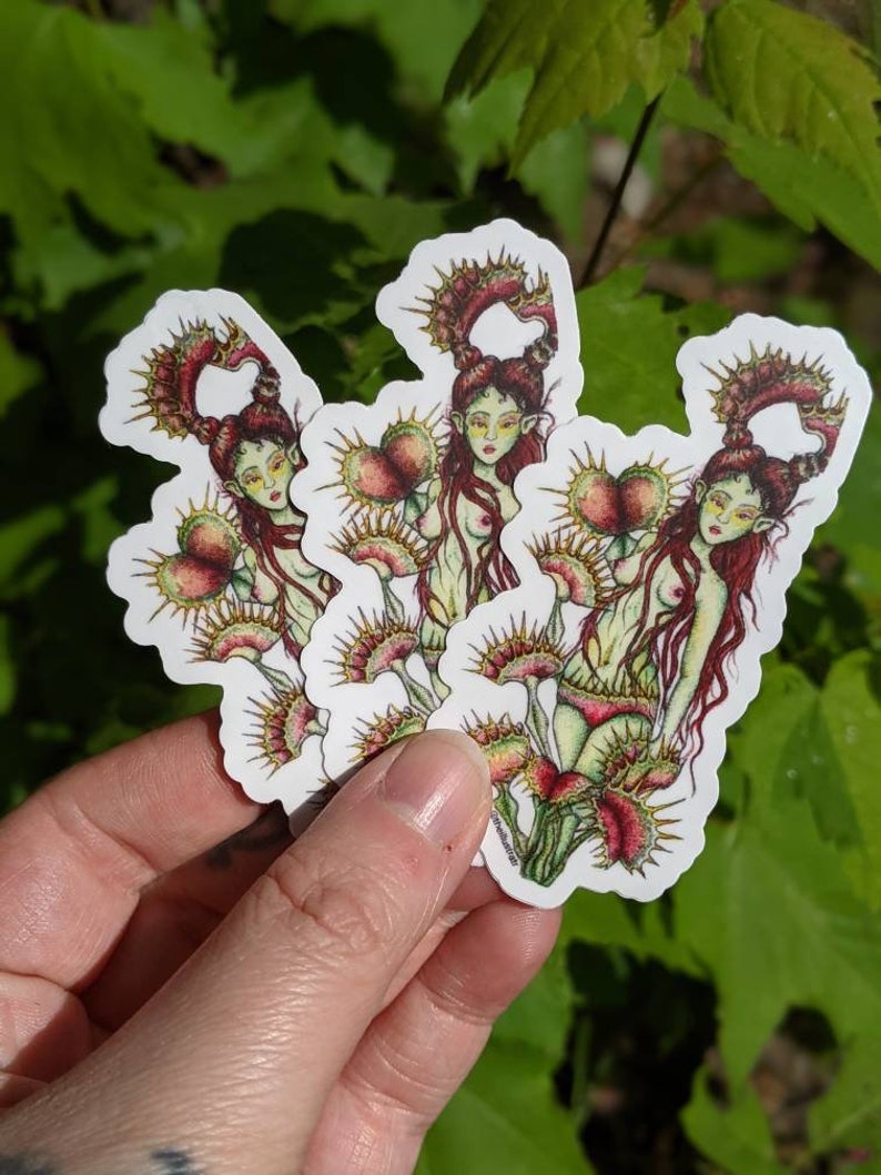Venus Fly Trap (die Cut Sticker) - Etsy