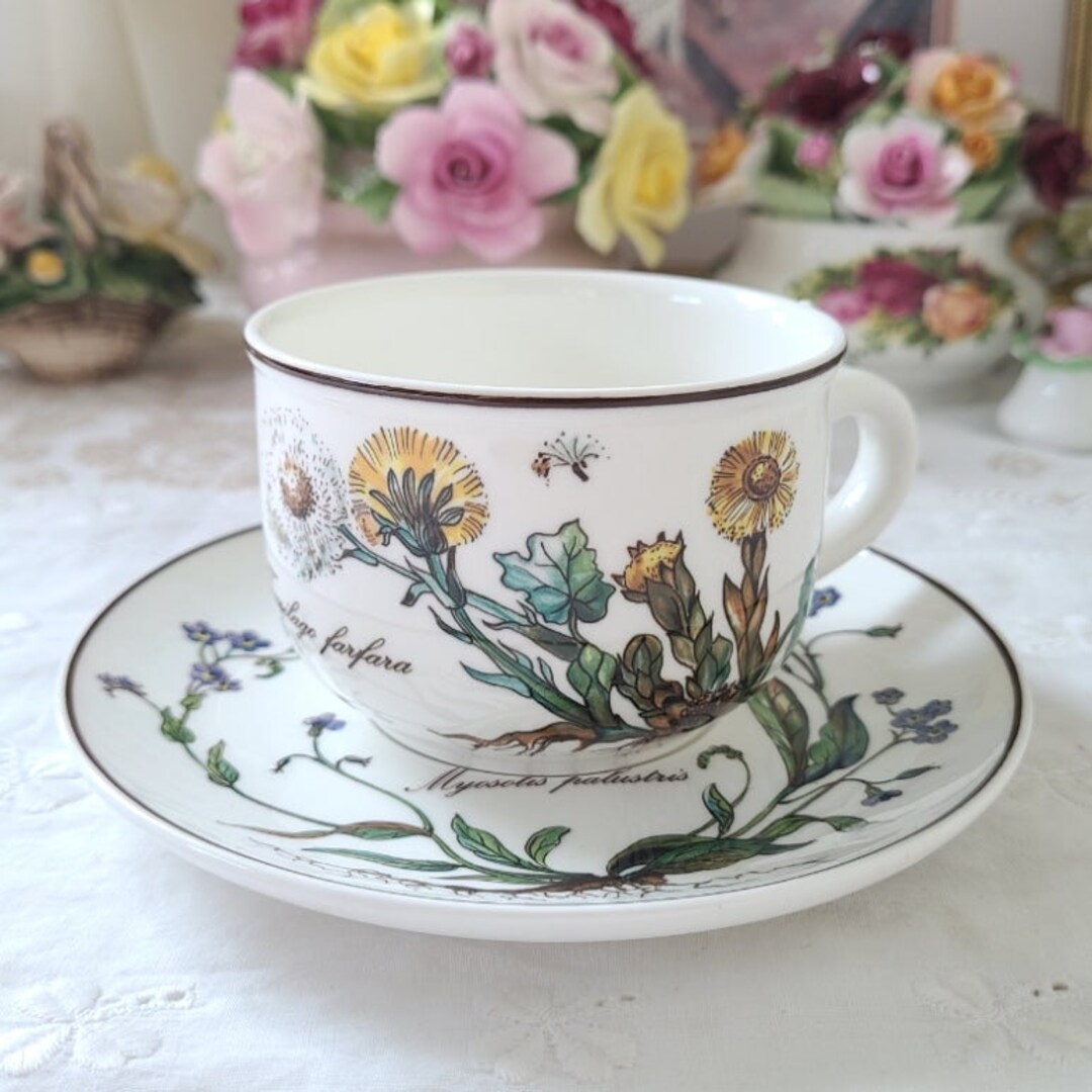 Villeroy & Boch Botanica Cup and Saucer Set - Germany - Etsy