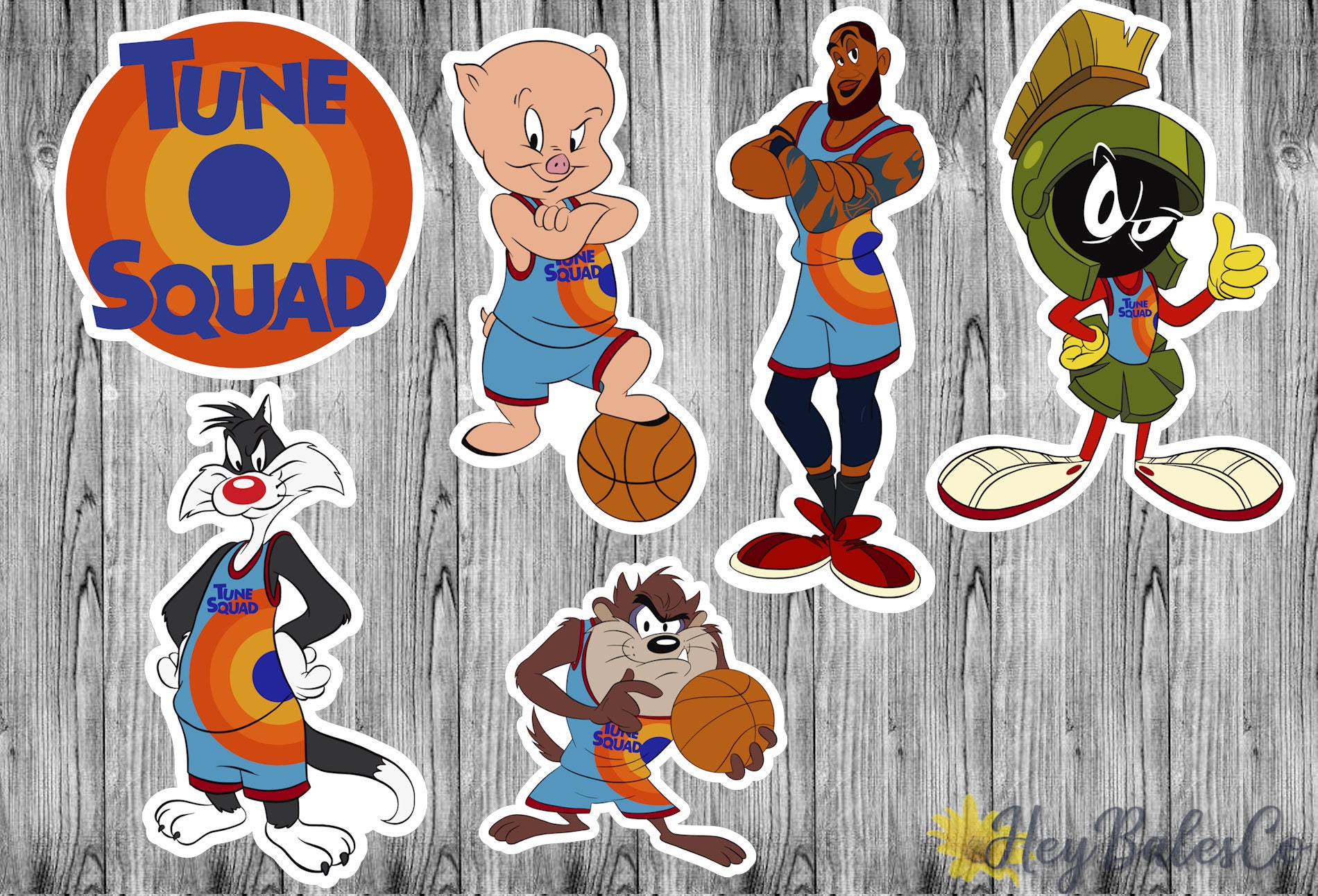 Space Jam Tune Squad Stickers/ LeBron James Planner | Etsy