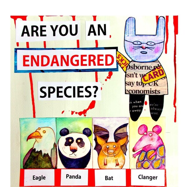 Endangered Species Cards - Etsy