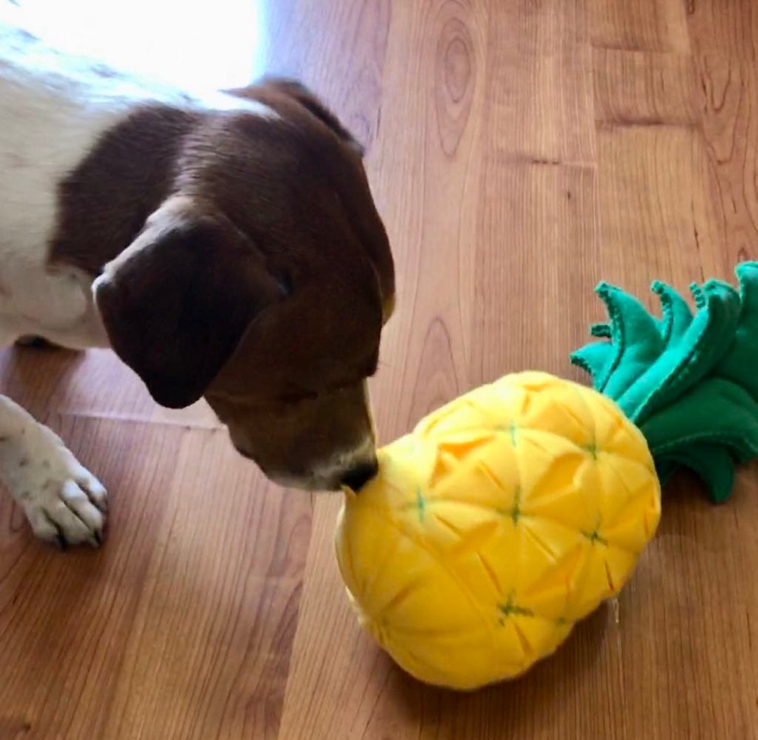 Pineapple Snuffle Box: Fleece Treat Puzzle Dog Toy (13.8 Inch) - Etsy