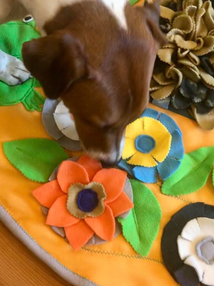 Interactive dog and cat toys Handmade pet play mat Snuffle mat | Etsy