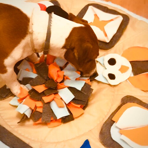 Interactive Dog and Cat Toys Handmade Pet Play Mat Snuffle Mat - Etsy