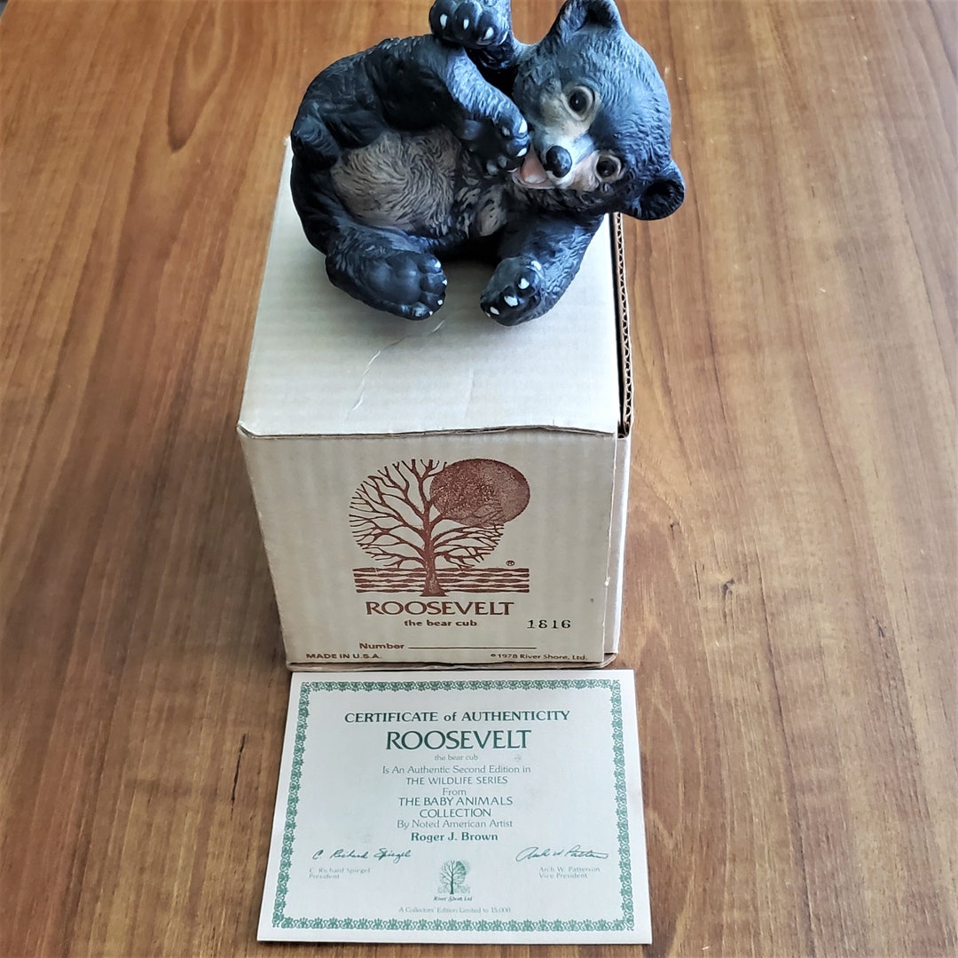 Roger J. Brown Roosevelt the Bear Cub 2nd Edition in the - Etsy