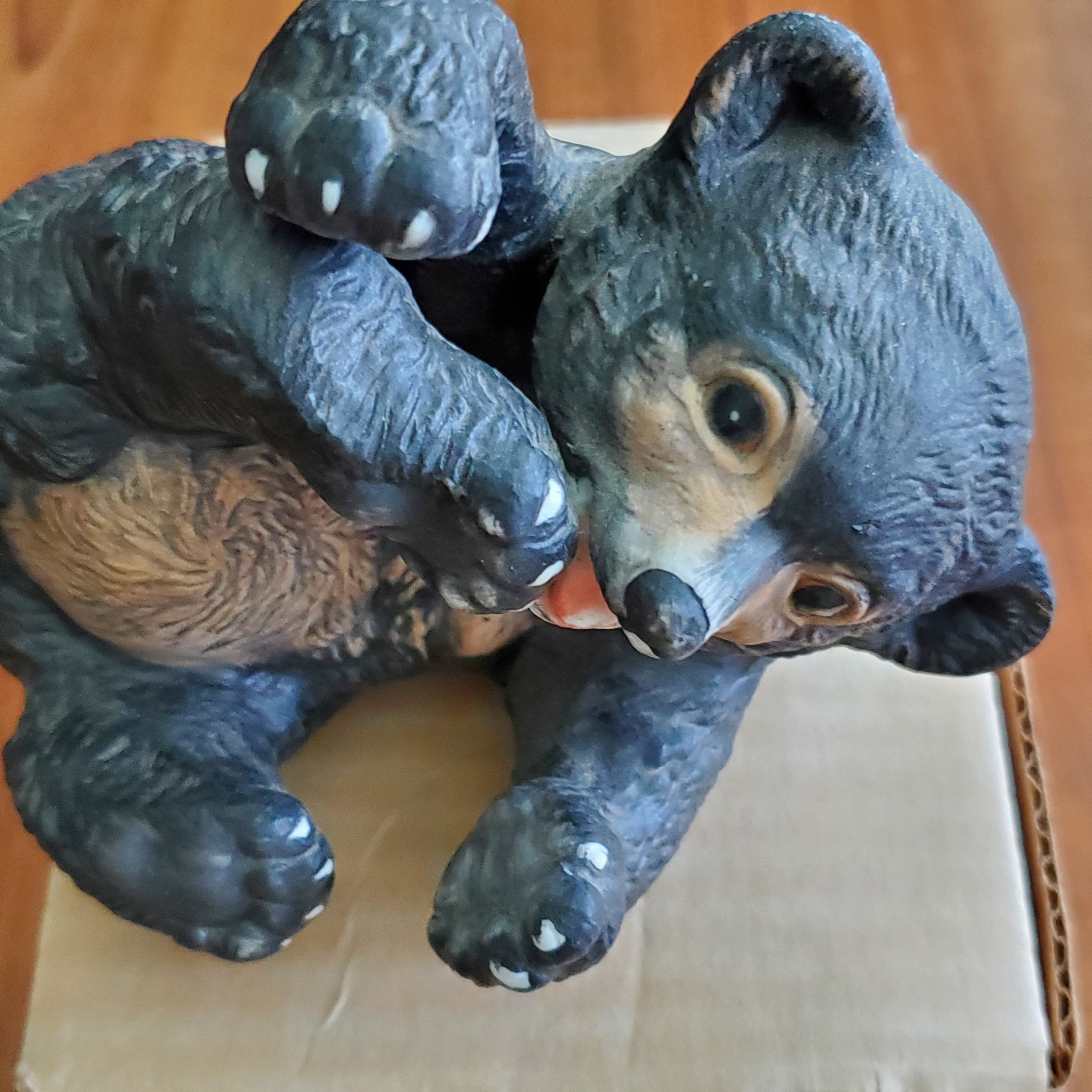 Roger J. Brown Roosevelt the Bear Cub 2nd Edition in the - Etsy