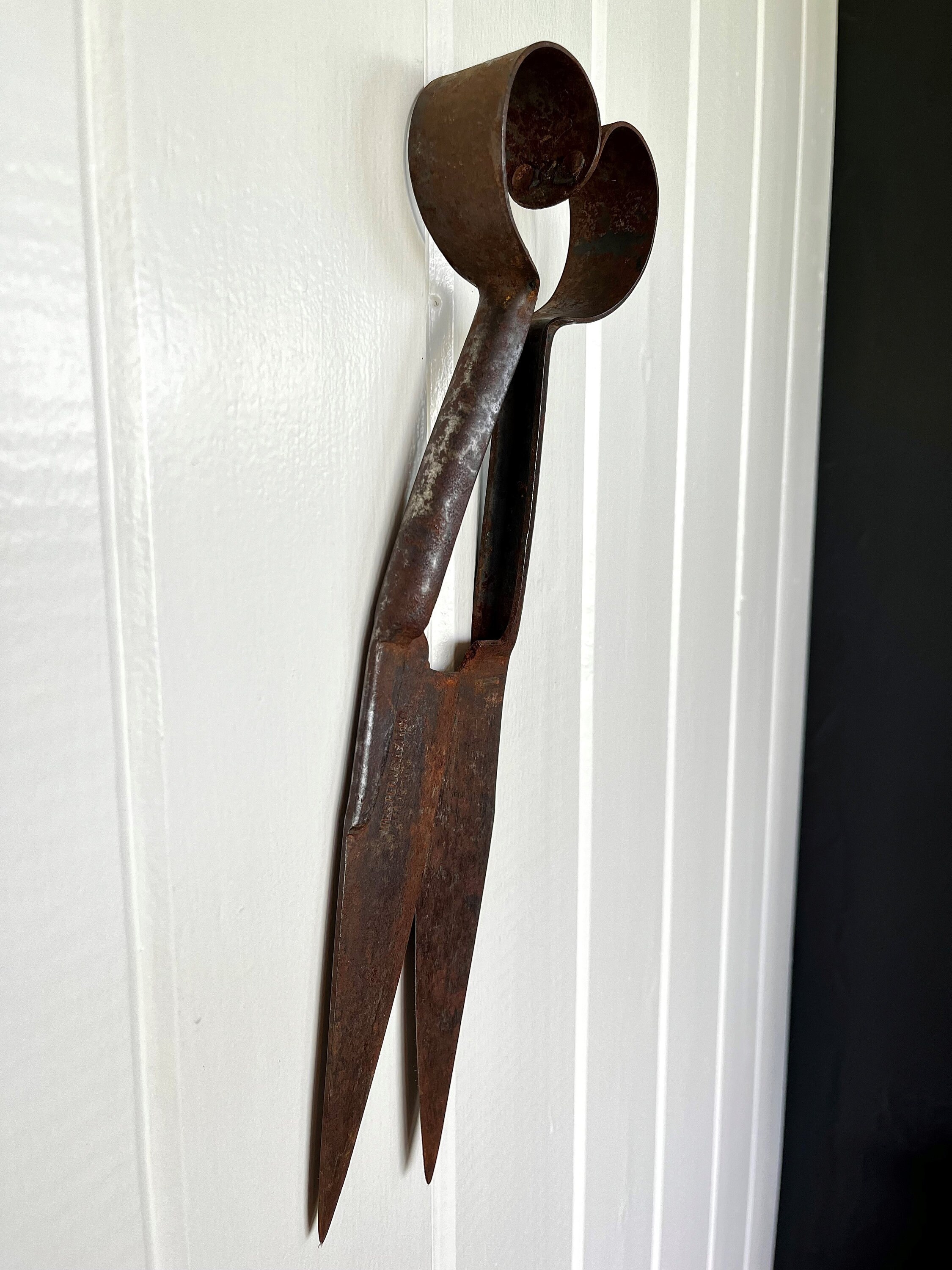 Antique 1920's Sheep Shears large, Western Shear Co., Aged Rusty Patina ...