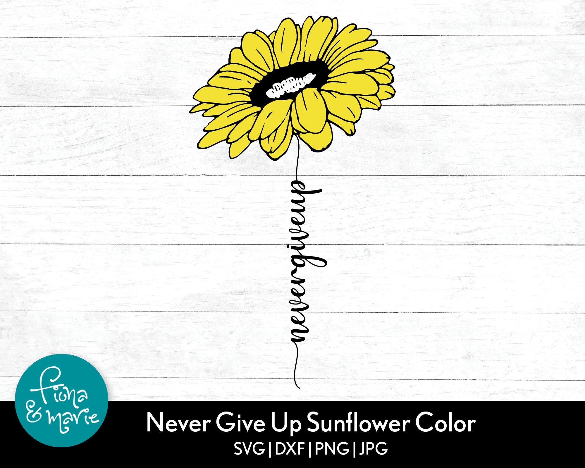Never Give up Cursive Type Sunflower Color Svg Inspirational - Etsy