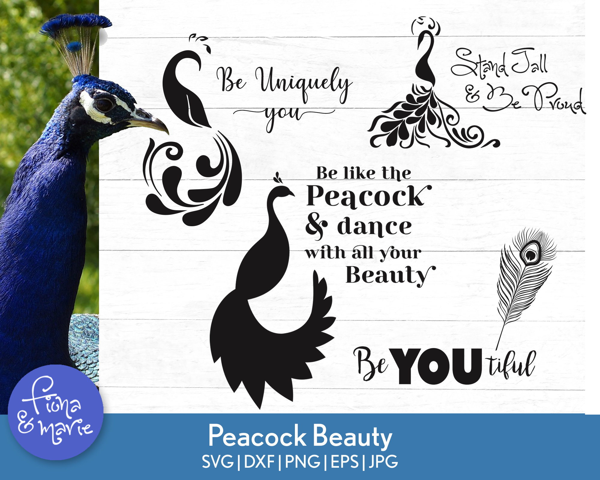 Peacock Beauty Svg Png Jpg Eps Dxf Cut Files for | Etsy