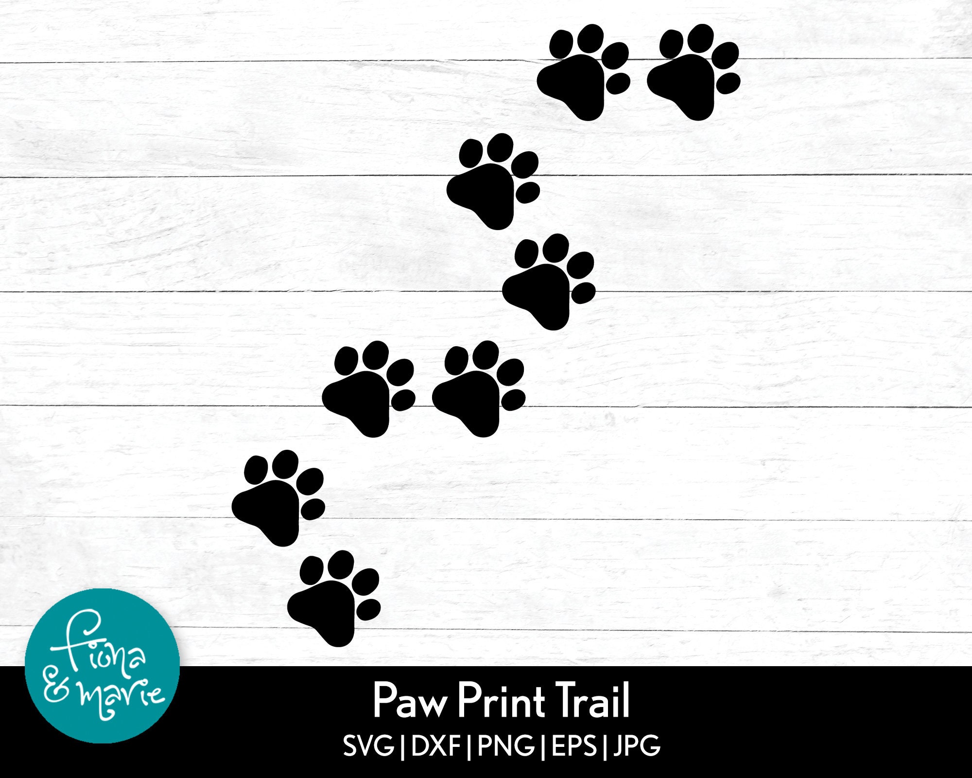 Real Cat Paw Print Trail
