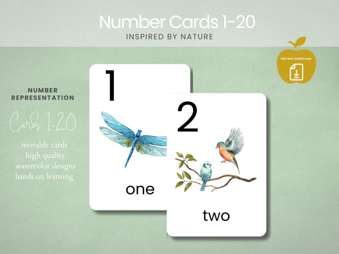 Nature Number Flashcards 1-20: Kindergarten Homeschool (PDF Download ...