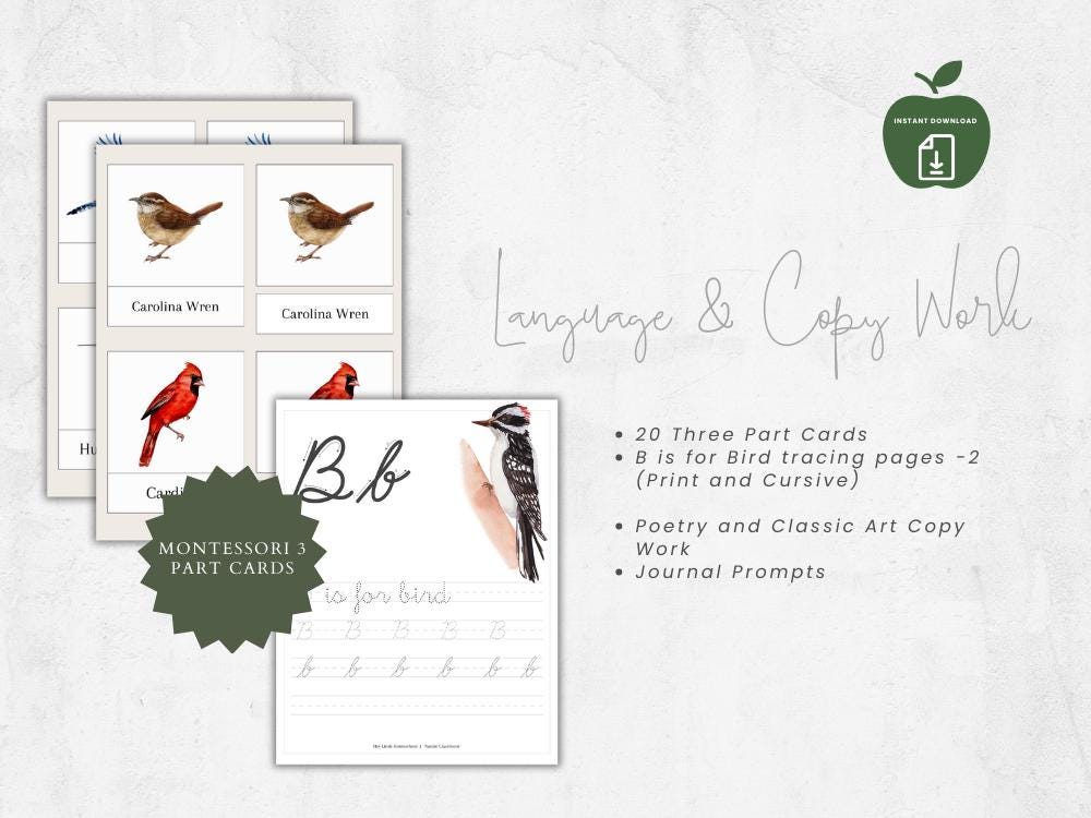 Bird Unit Study: Anatomy & Observation Charts (digital Download) - Etsy
