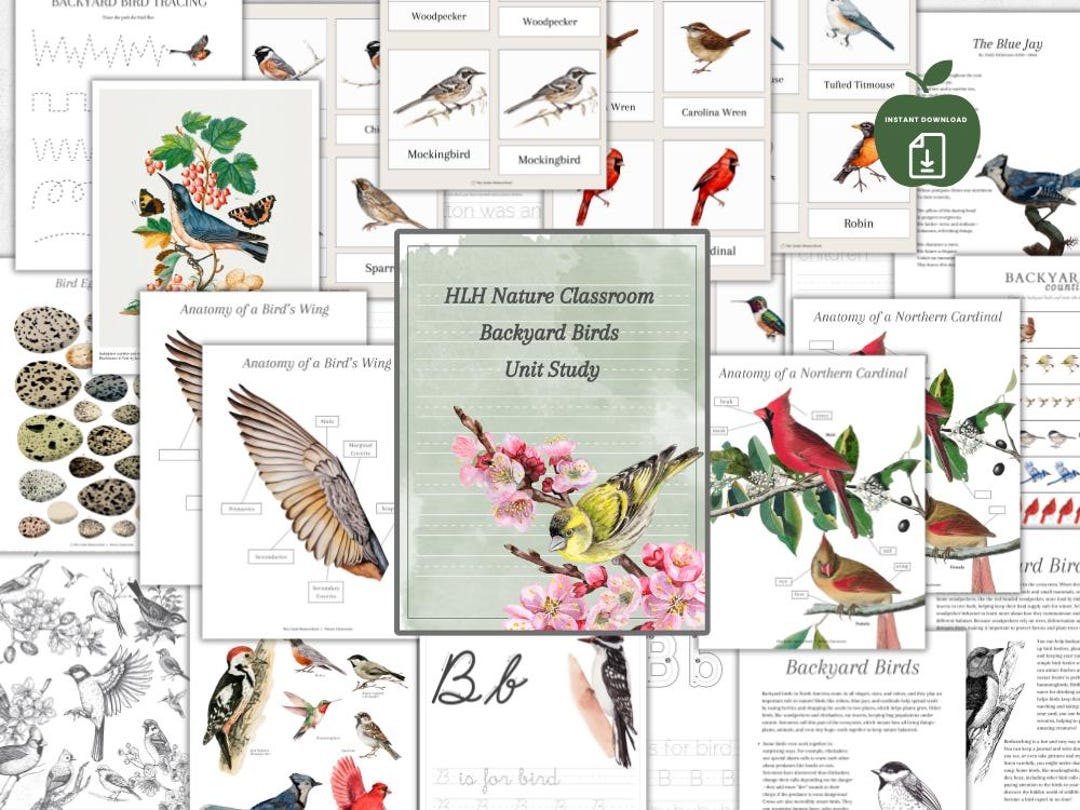 Bird Unit Study: Anatomy & Observation Charts (digital Download) - Etsy