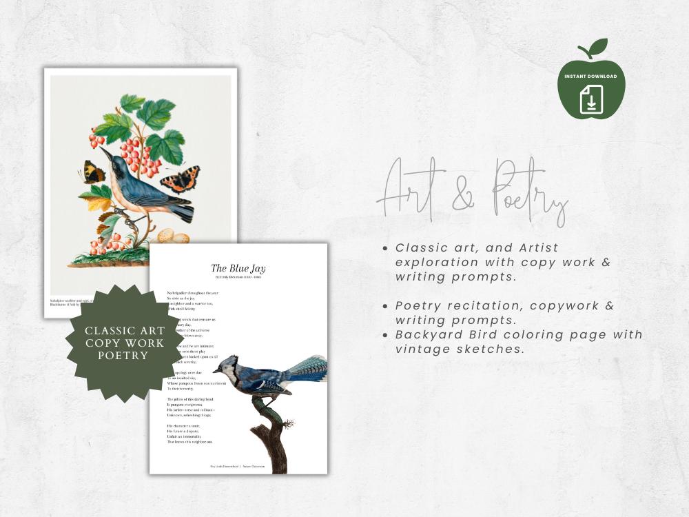 Bird Unit Study: Anatomy & Observation Charts (digital Download) - Etsy