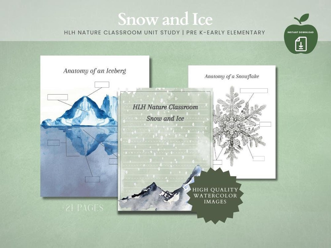 Snow and Ice Unit Study: Homeschool Workbook (digital Download) - Etsy