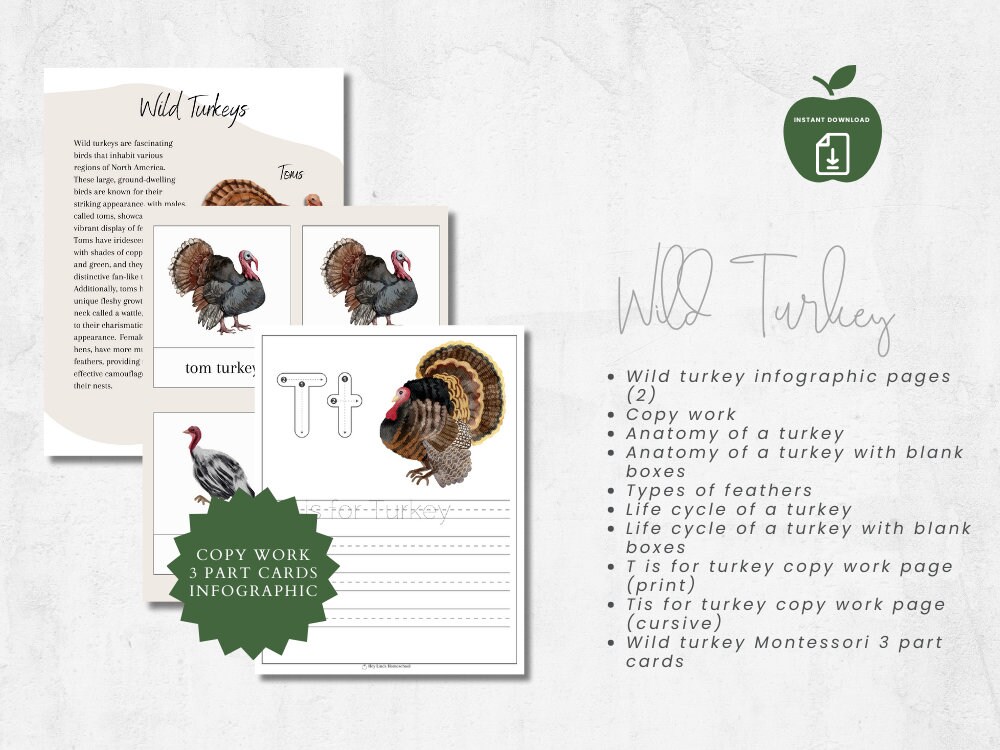 Wild Turkey Unit Study | Thanksgiving Unit Study | Montessori | Nature ...