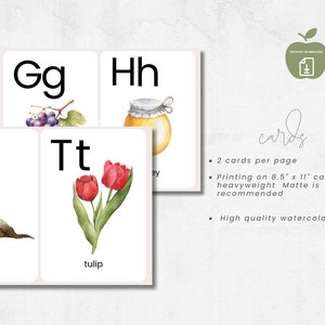 Alphabet Cards Nature Inspired Movable Alphabet Classic High Res ...