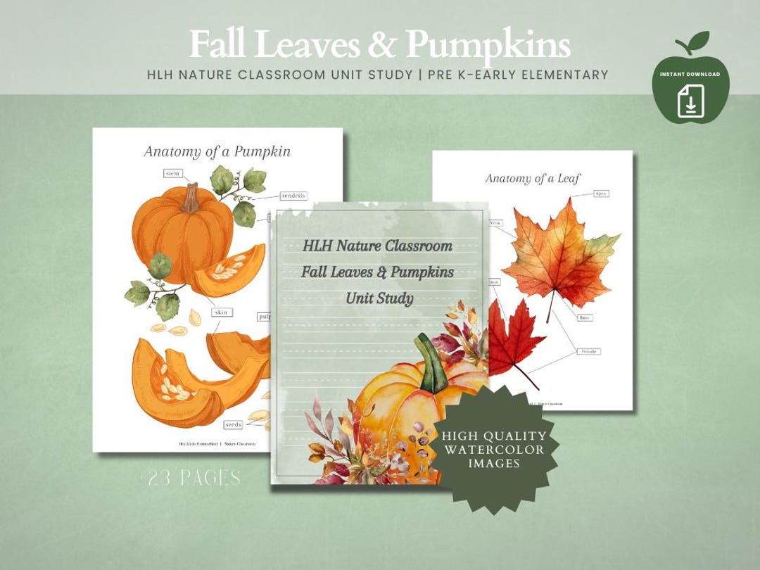 Fall and Pumpkin Unit Study | Homeschool | Kindergarten | Homeschool ...