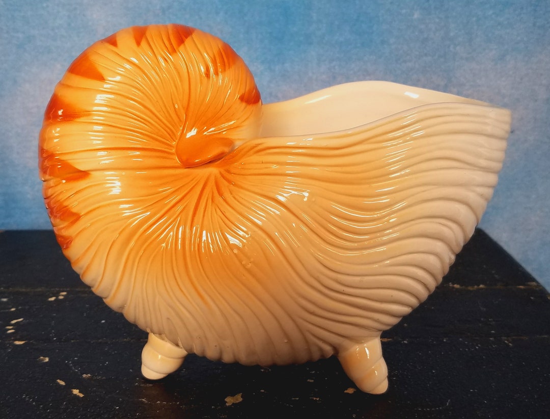 Vintage 1970s Realistic Painted Nautilus Seashell Ceramic - Etsy