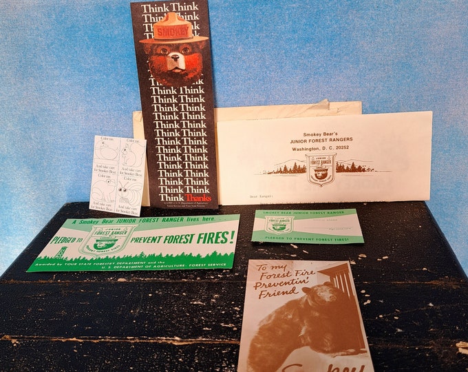Vintage 70s and 80s Smokey Bear Junior Forest Rangers Kit Items in ...