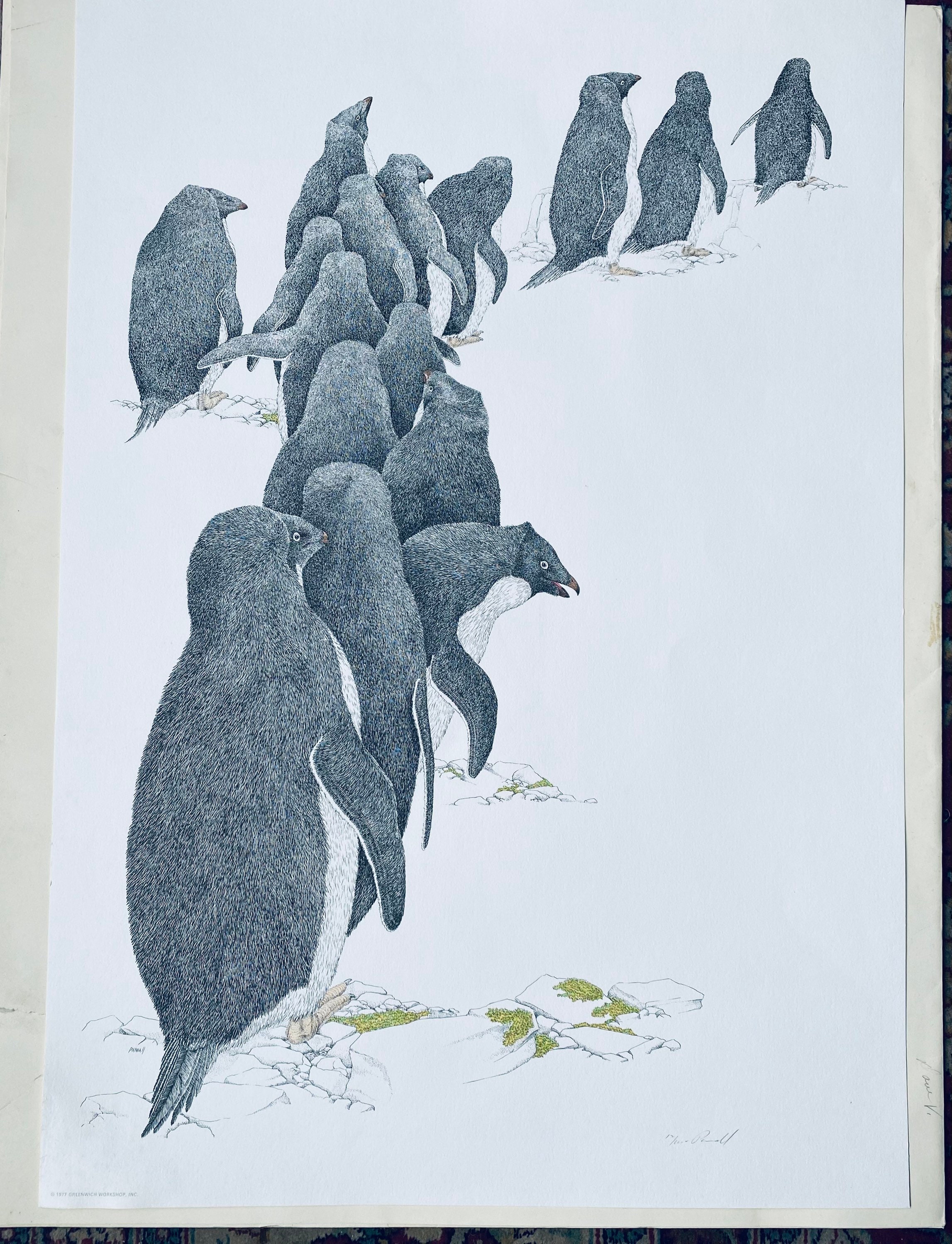 Peter Parnall Limited Edition Signed Serigraph adelie Penguins - Etsy