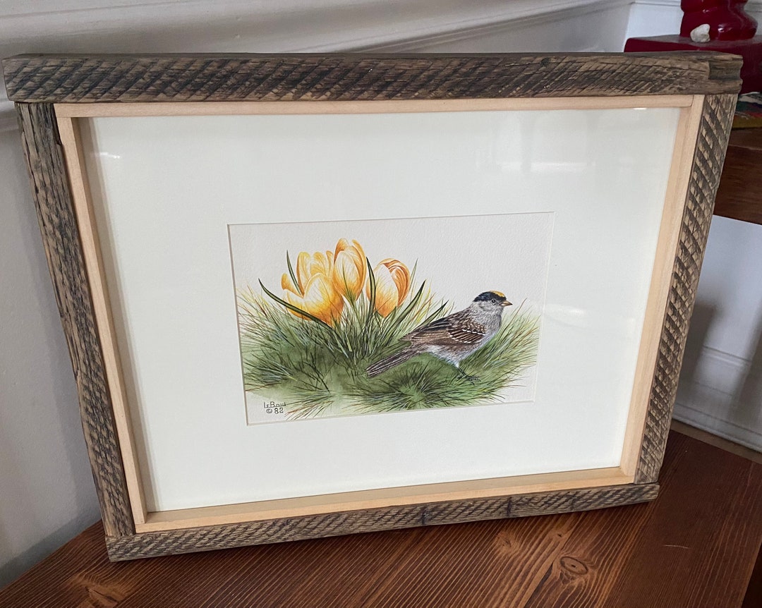 Original Susan Lebow Birds Small Paintings 1982 Framed - Etsy