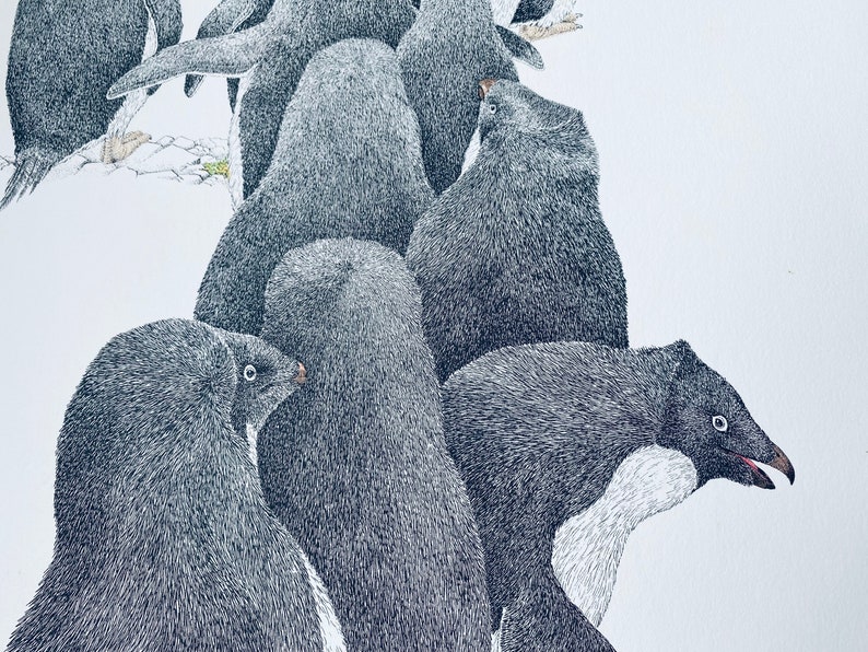 Peter Parnall Limited Edition Signed Serigraph ‘adelie Penguins’ - Etsy