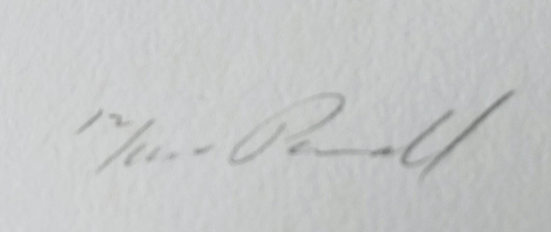 Peter Parnall Limited Edition Signed Serigraph adelie Penguins - Etsy