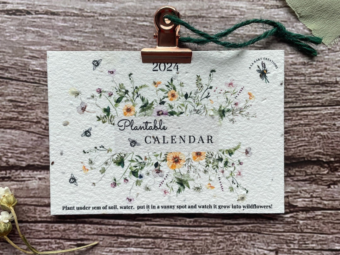 2024 12 Month Plantable Wildflower Seeded Calendar A7 to A5 Size Summer ...