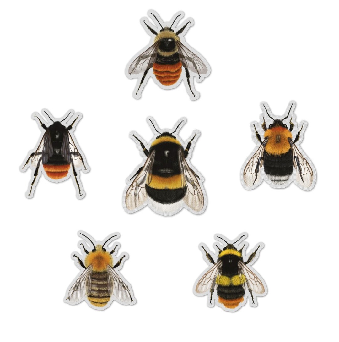 Bumblebee Sticker Set | Vinyl Bumblebee Stickers | Nature Stickers ...