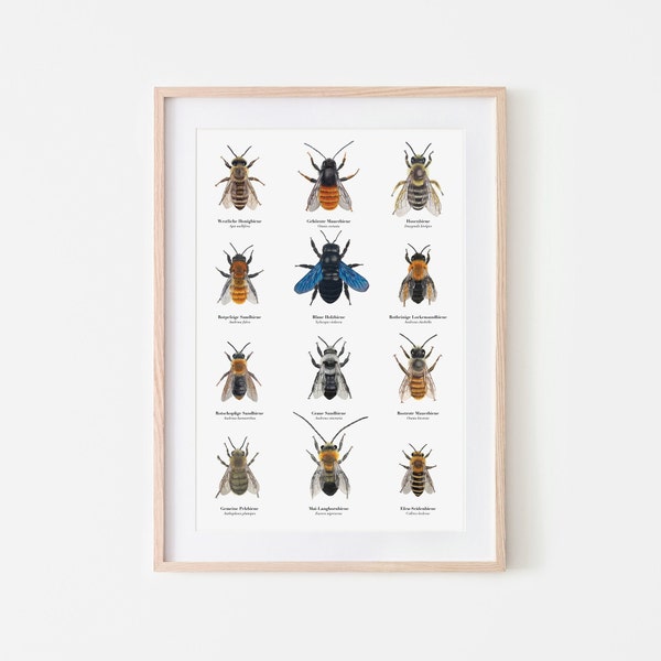 Bee Poster - Etsy