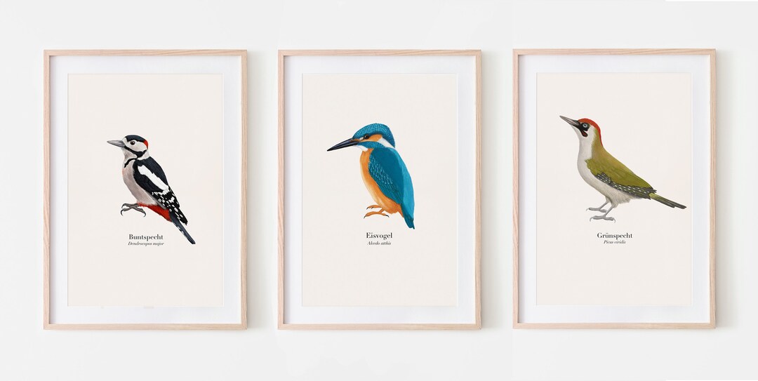 Set of 3 Posters of Native Birds, Poster Set of Nature, Customizable ...
