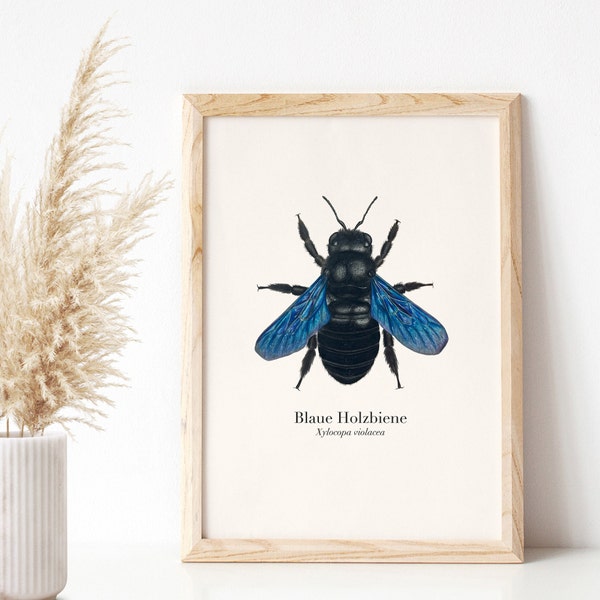 Bee Poster - Etsy