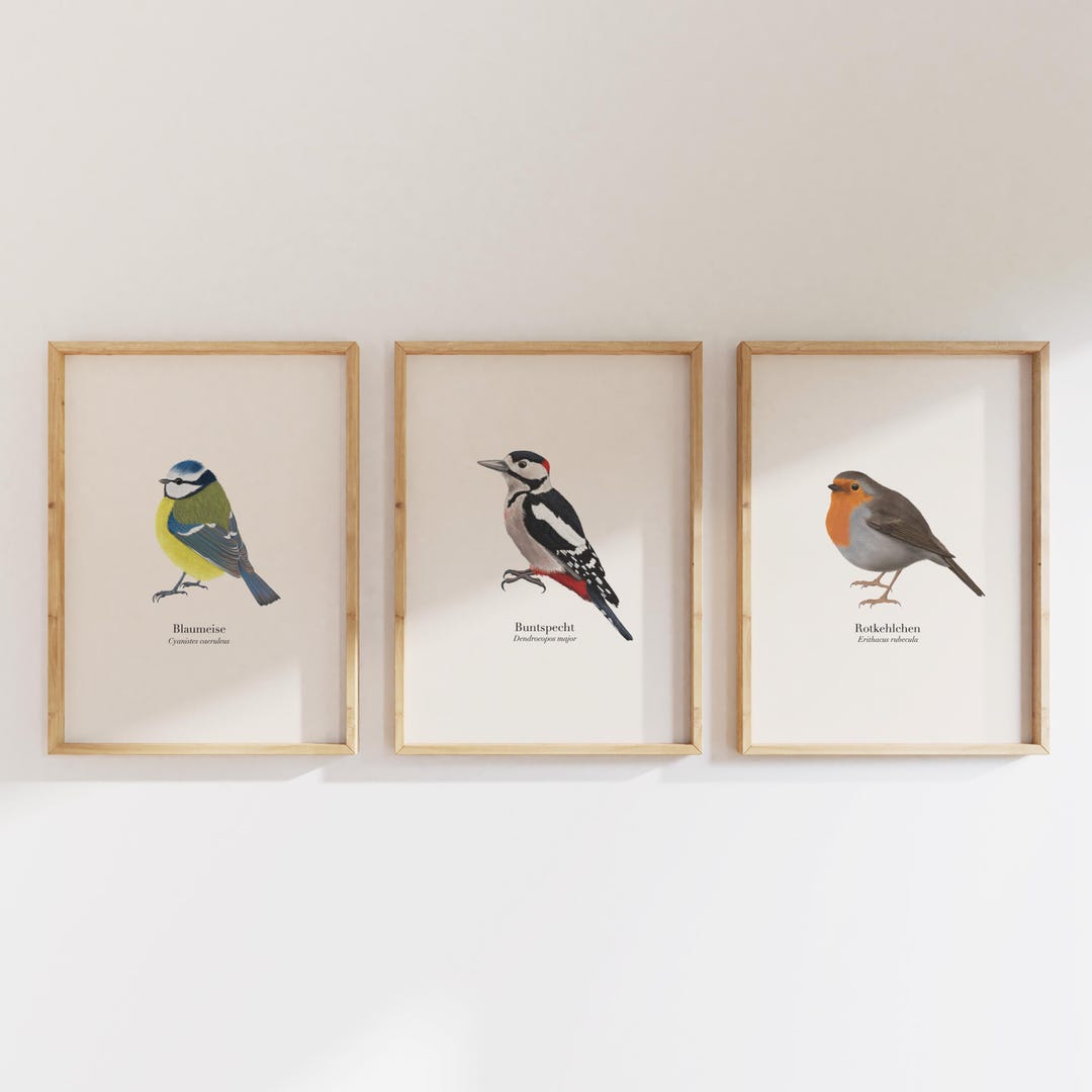 Set of 3 Posters of Native Birds, Poster Set of Nature, Customizable ...