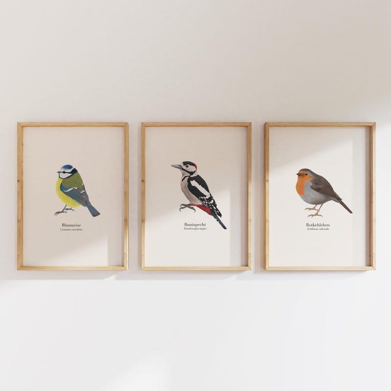 Bird Poster - Etsy