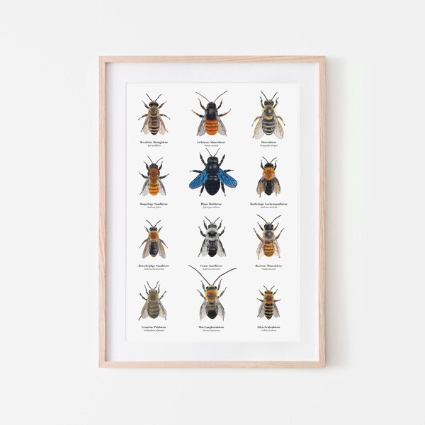 Bee Poster - Etsy
