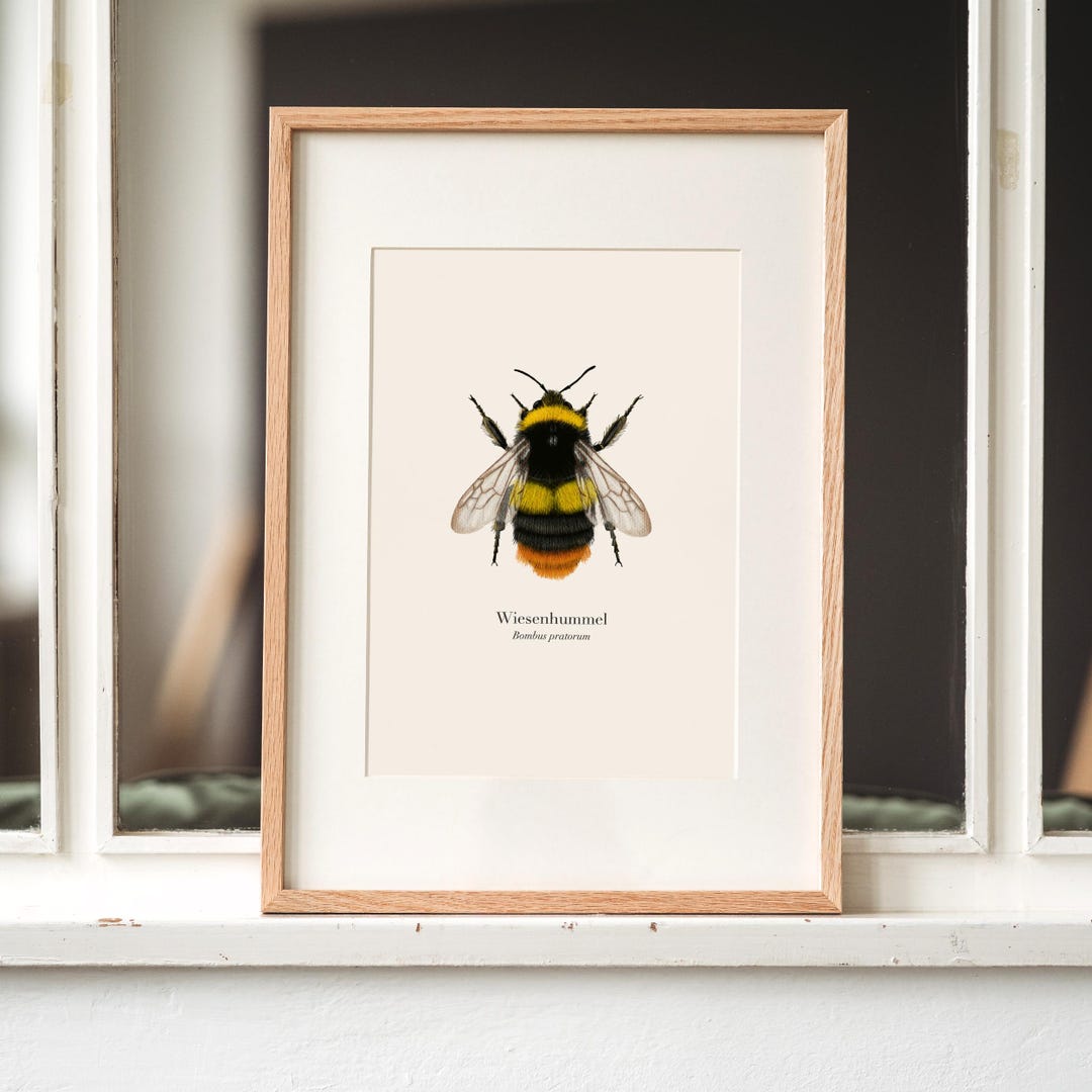 Bumblebee Poster With Meadow Bumblebee Illustration Gift for Nature ...