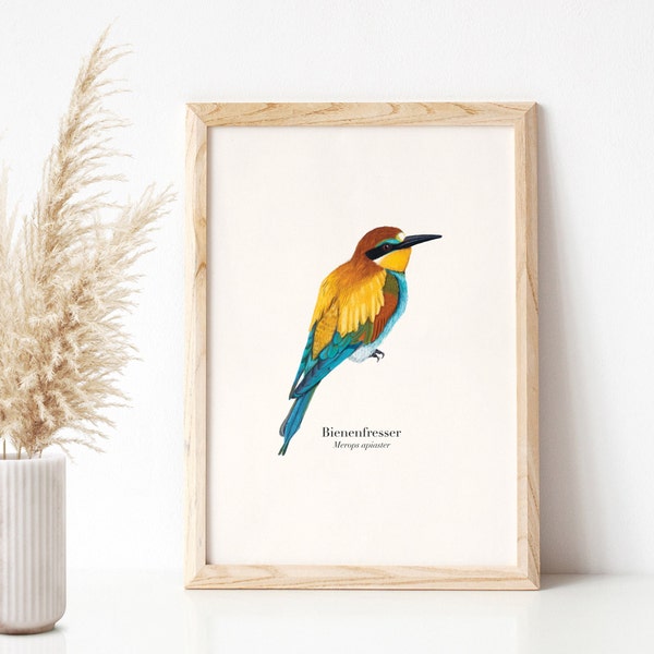 Bee Eater - Etsy