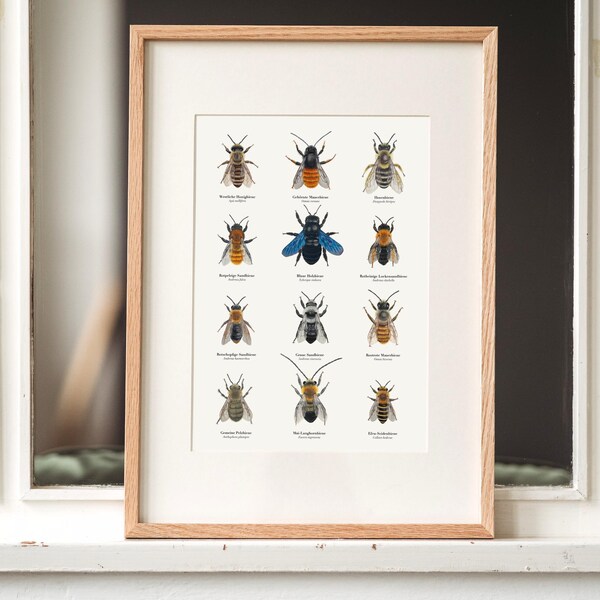 Bee Poster - Etsy