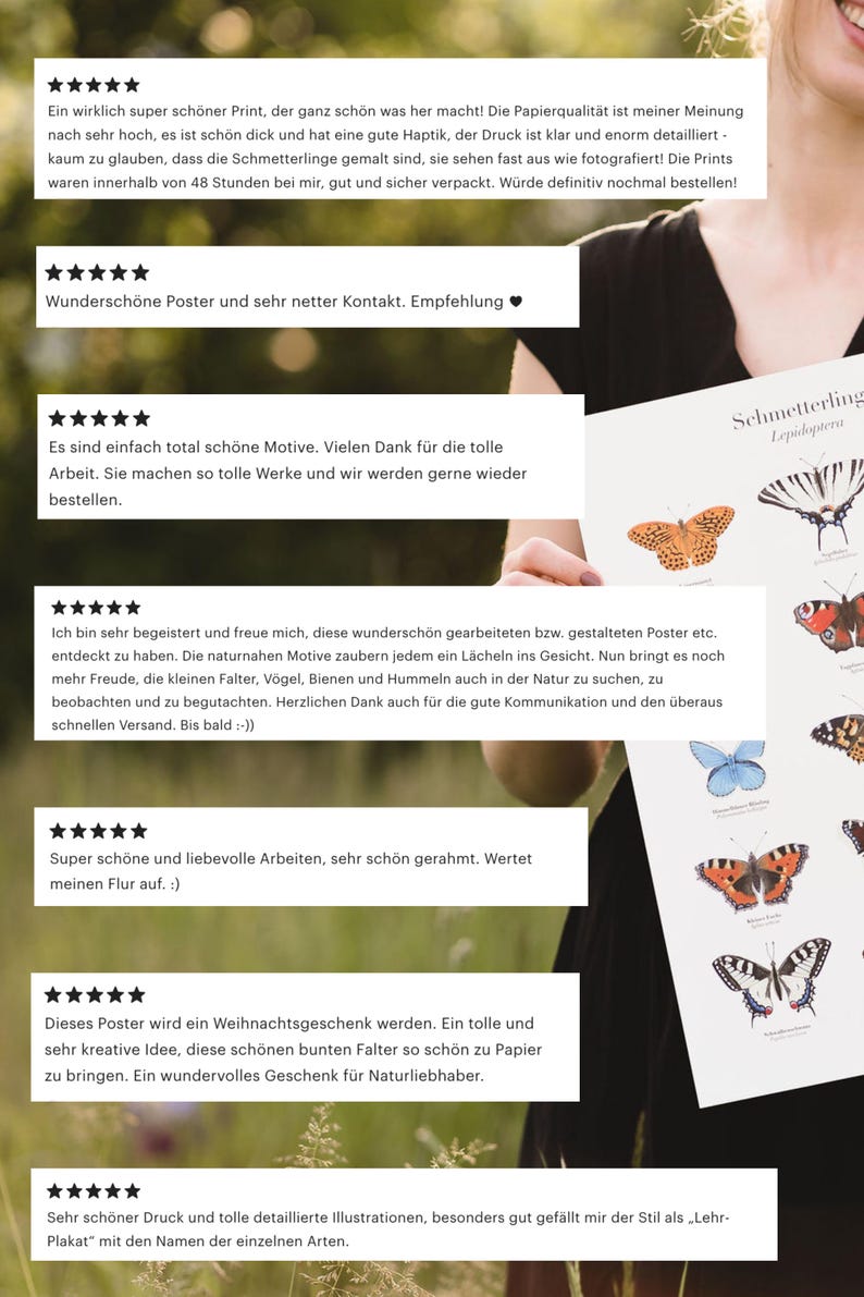 Butterfly Poster, Art Print of Native Butterflies, Optionally Framed or ...