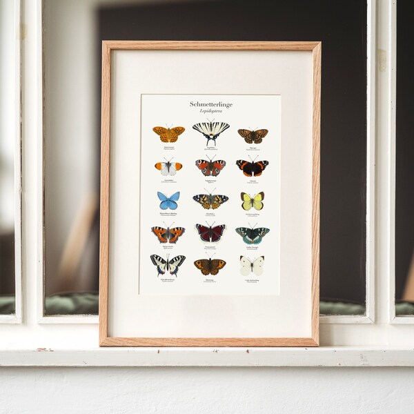 Butterfly Poster - Etsy